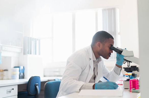 Boster Biological Technology Continues to Grow Expertise. – ThyBlackMan.com